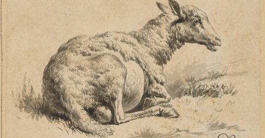 Mouton couché ruminant de profil à droite de Jean-Jacques de Boissieu ...