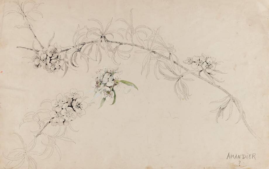 Amandier de Emile Gallé - Reproduction d'art haut de gamme